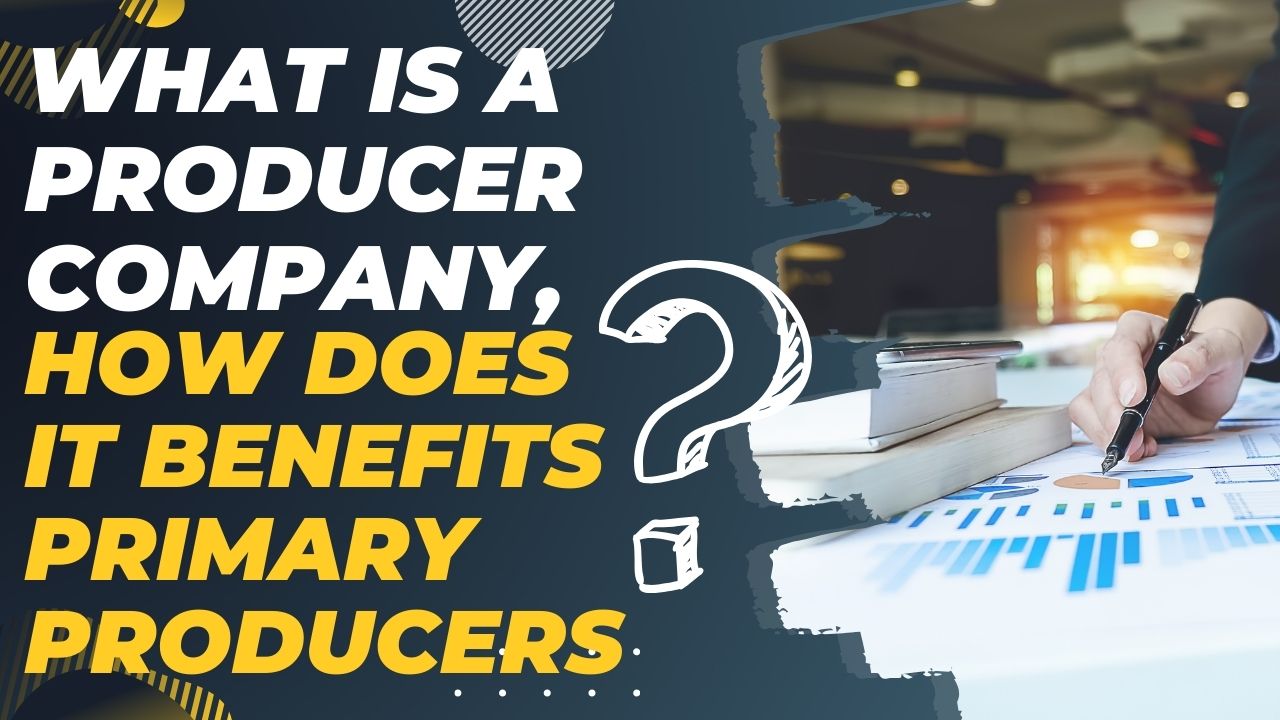 Inclusivity And Activities: Member Eligibility And Operations Of ...