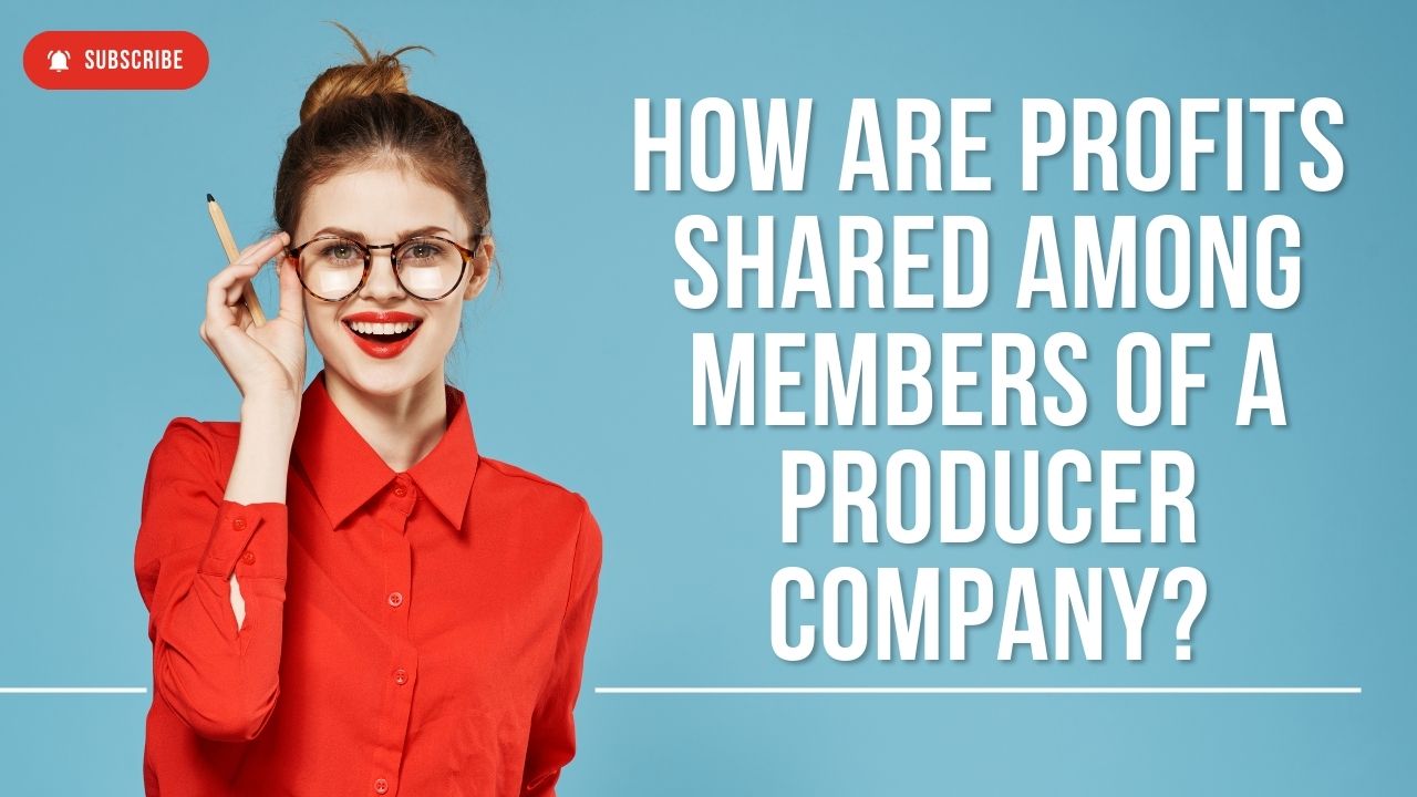 Sharing Success: The Art Of Profit Distribution Among Producer Company ...