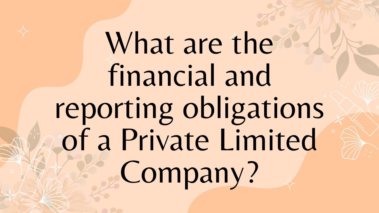 Financial Transparency: Navigating Obligations In Private Limited ...