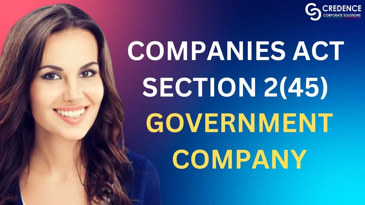 Government Company | Definition And Operational Structure