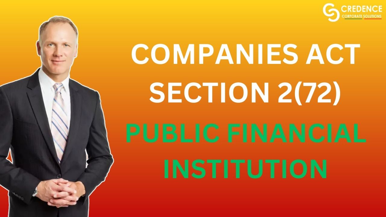 Public Financial Institution | Definition And Role In Financial Systems
